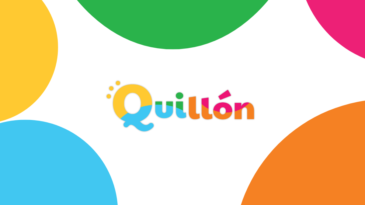 DIAGNÓSTICO COMUNAL DE LAS PERSONAS MAYORES COMUNA DE QUILLÓN 2024 ...